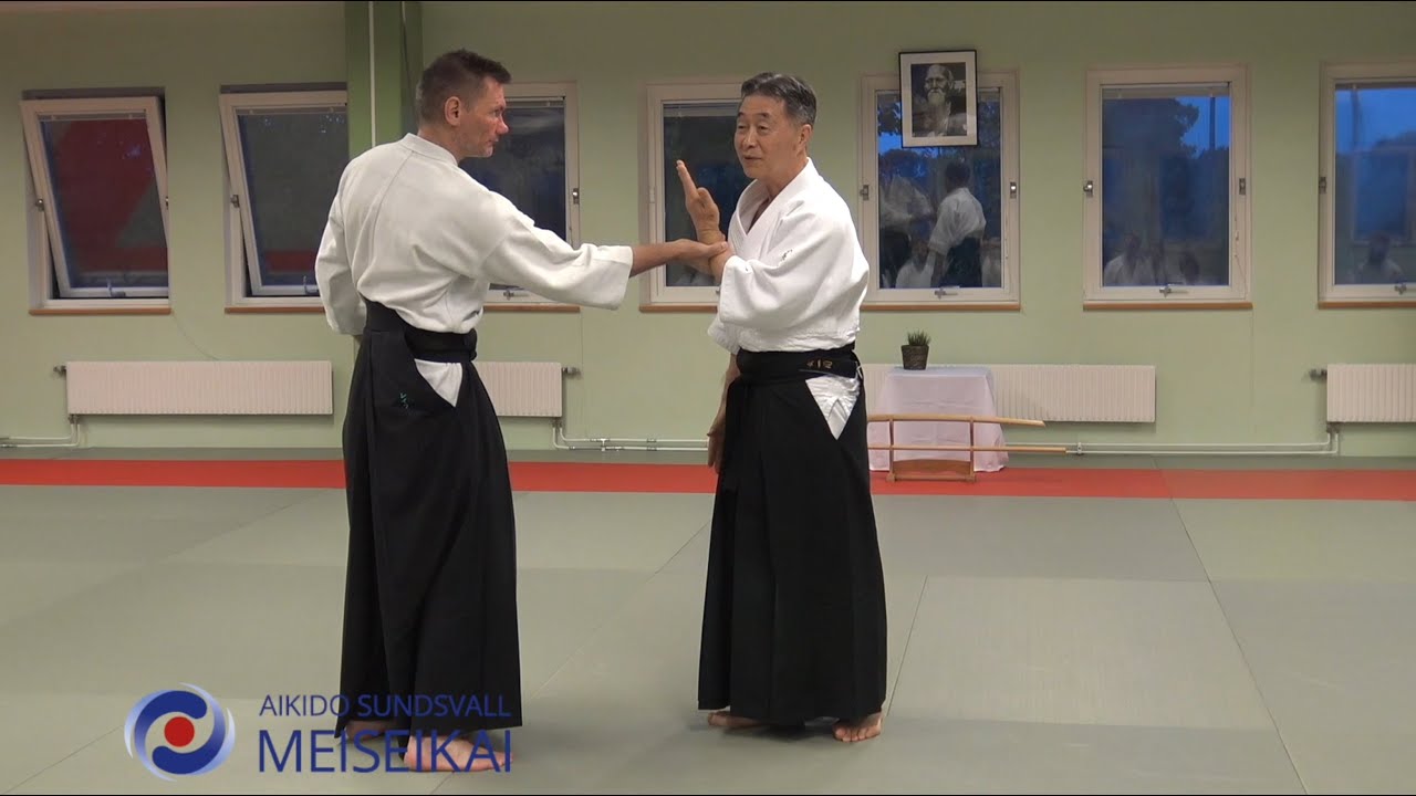Aikido Gyaku Hanmi Kotegaeshi Omote, Shishiya Sensei Malmö 2018 - YouTube