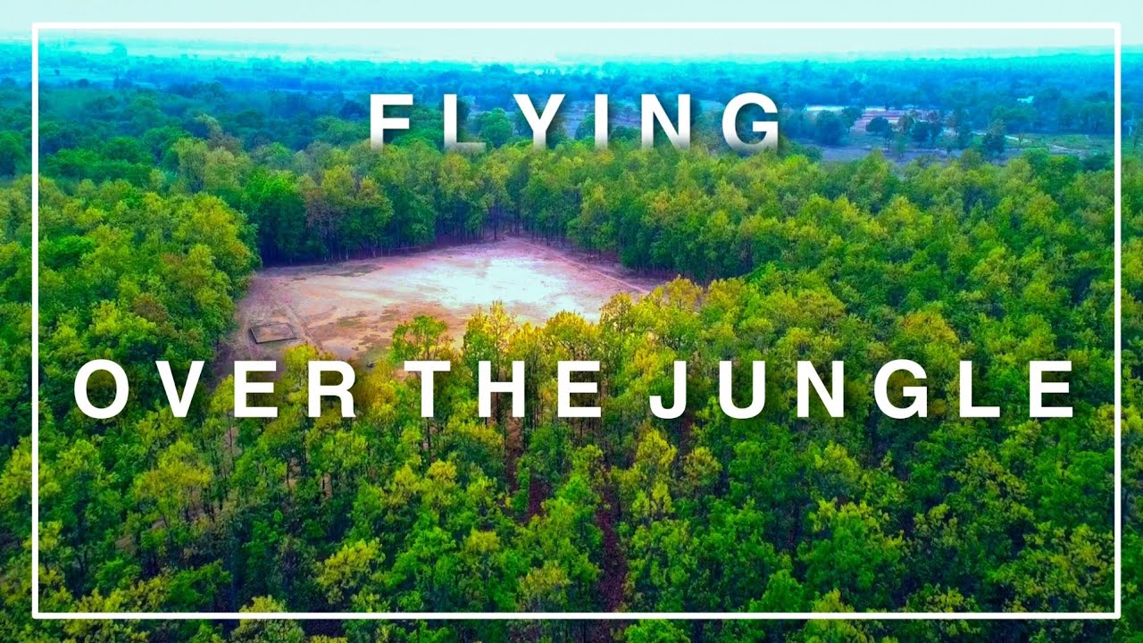 Flying Over The Jungle | Cinematic Aerial Footage | Raj Heart King ...