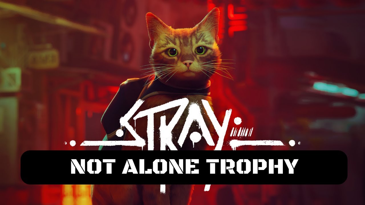 Stray Not Alone Trophy - YouTube