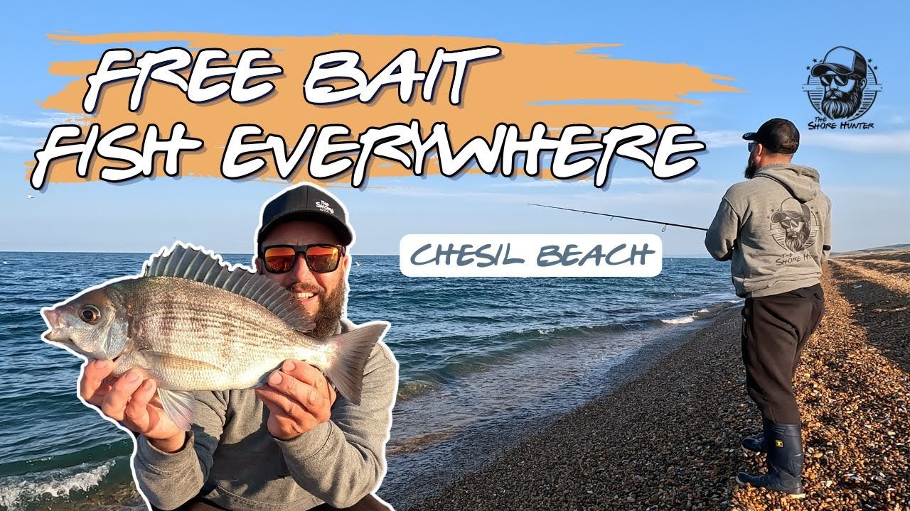 Chesil Beach Fishing Free Bait & Fish Everywhere! Sea Fishing on the ...
