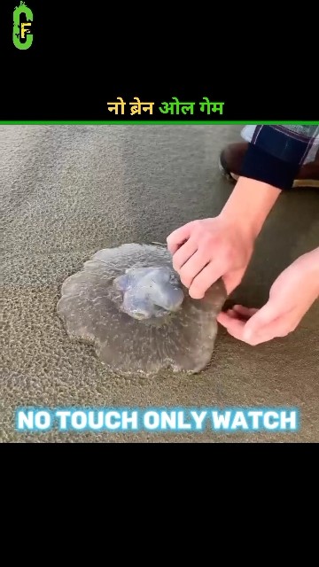 No Touch Only Watch - YouTube