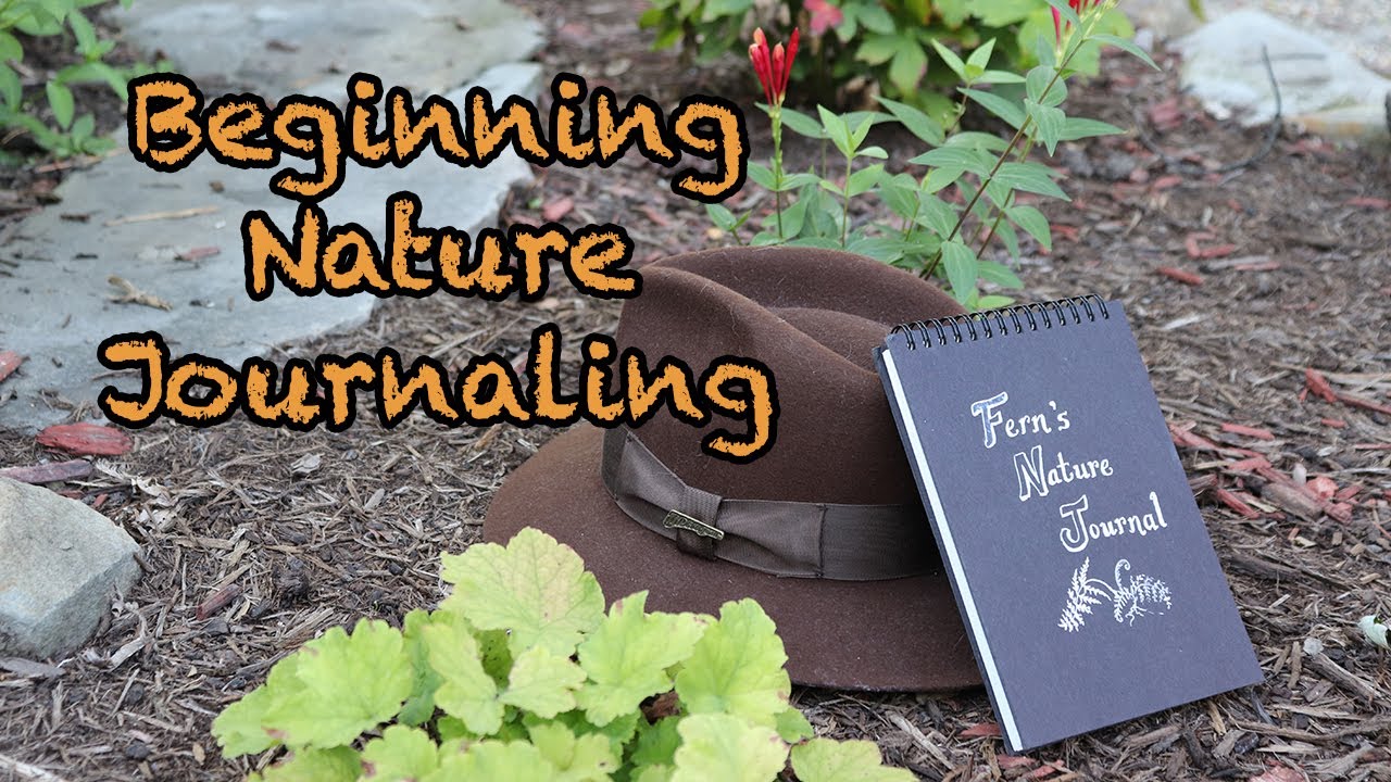 Beginning Nature Journaling - YouTube