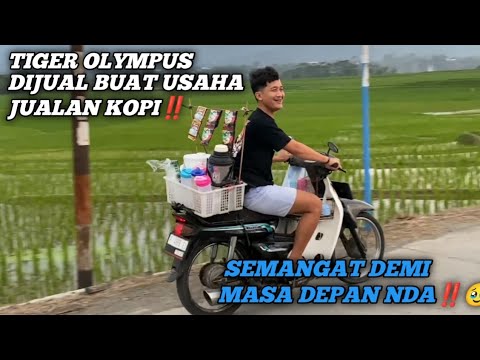 TIGER OLYMPUS TERJUAL‼️DEMI USAHA YANG LEBIH MAPAN‼️🥹 - YouTube