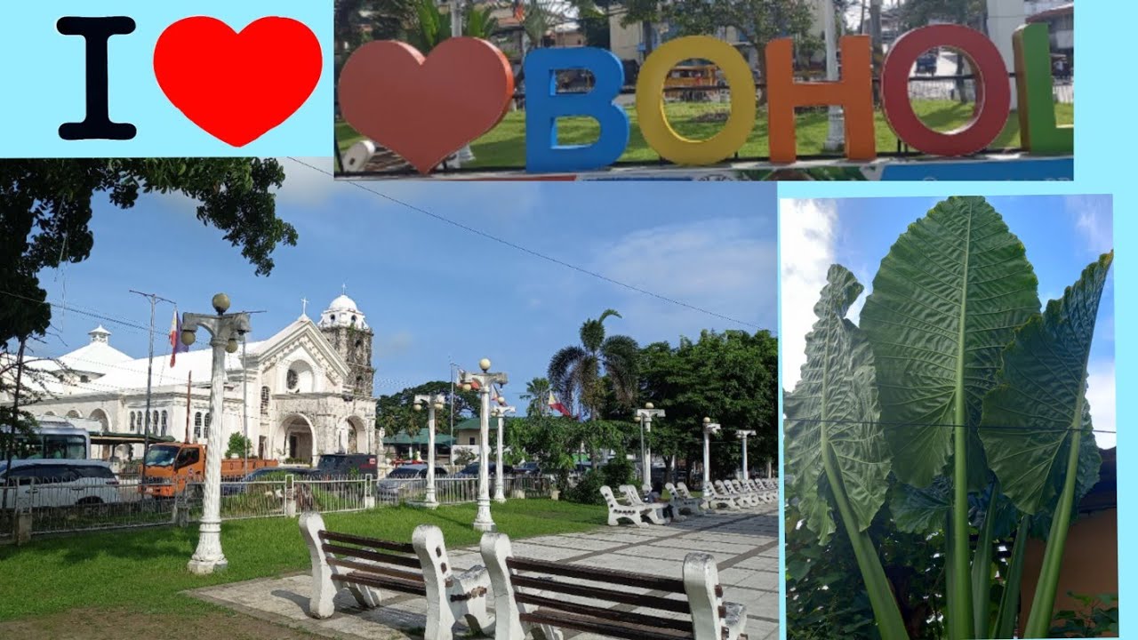 I Love Bohol Philippines - YouTube