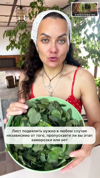 Ферментированный чай из листьев ирги чай ферментация полезныесоветы