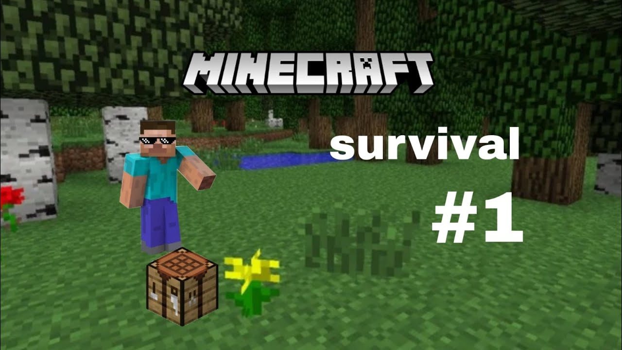 Let's Play Minecraft Survival Episode #1 - YouTube