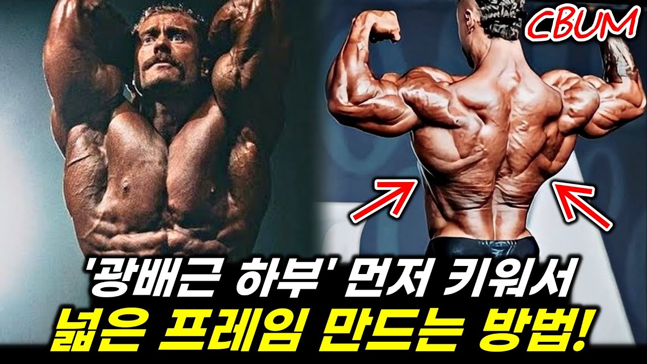 넓은 프레임을 위해 꼭 먼저 키워야 하는 광배근 하부 운동 방법과 루틴 크리스 범스테드 벌크업 대원근 등 하부
