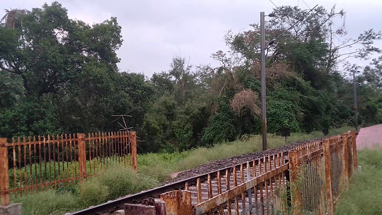 Jhaluarber - YouTube