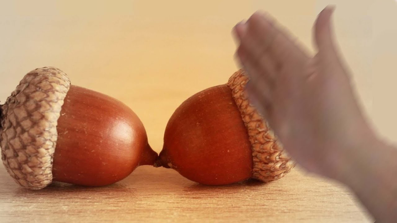 slap those nuts - YouTube