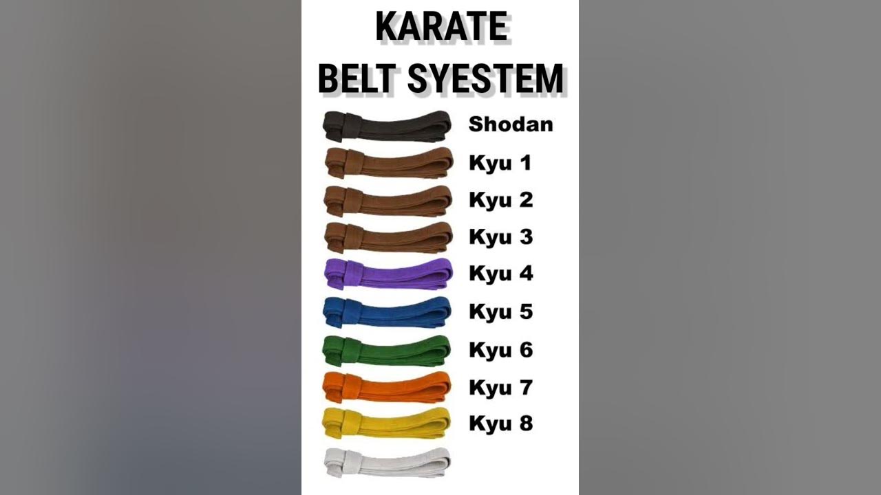 KARATE BELT SYSTEM ⚪️🟡🟠🟢🔵🟣🟤⚫️ 🥋 | #karate #karatebelts # ...