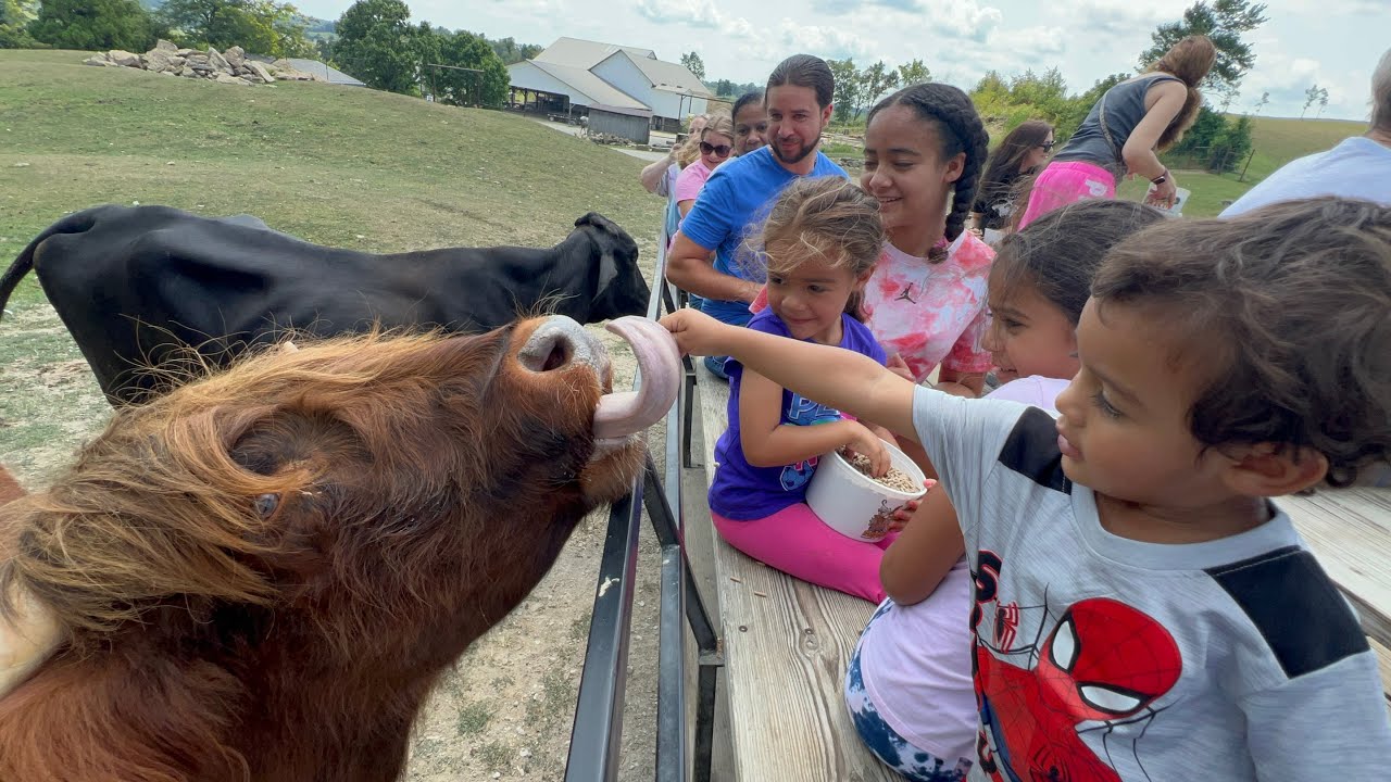 Safari at the Amish | feeding wild animals 🦬🐃 | sister Funtimex3 - YouTube