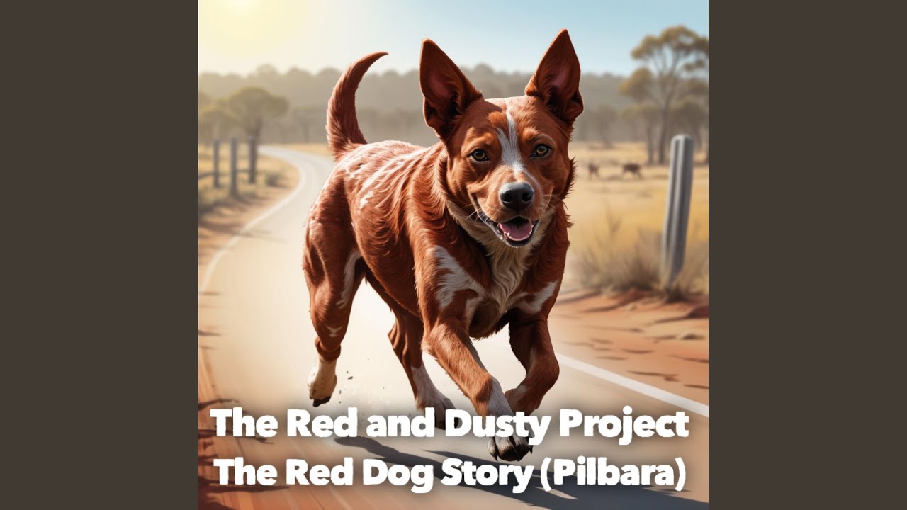 The Red Dog Story (Pilbara) - YouTube