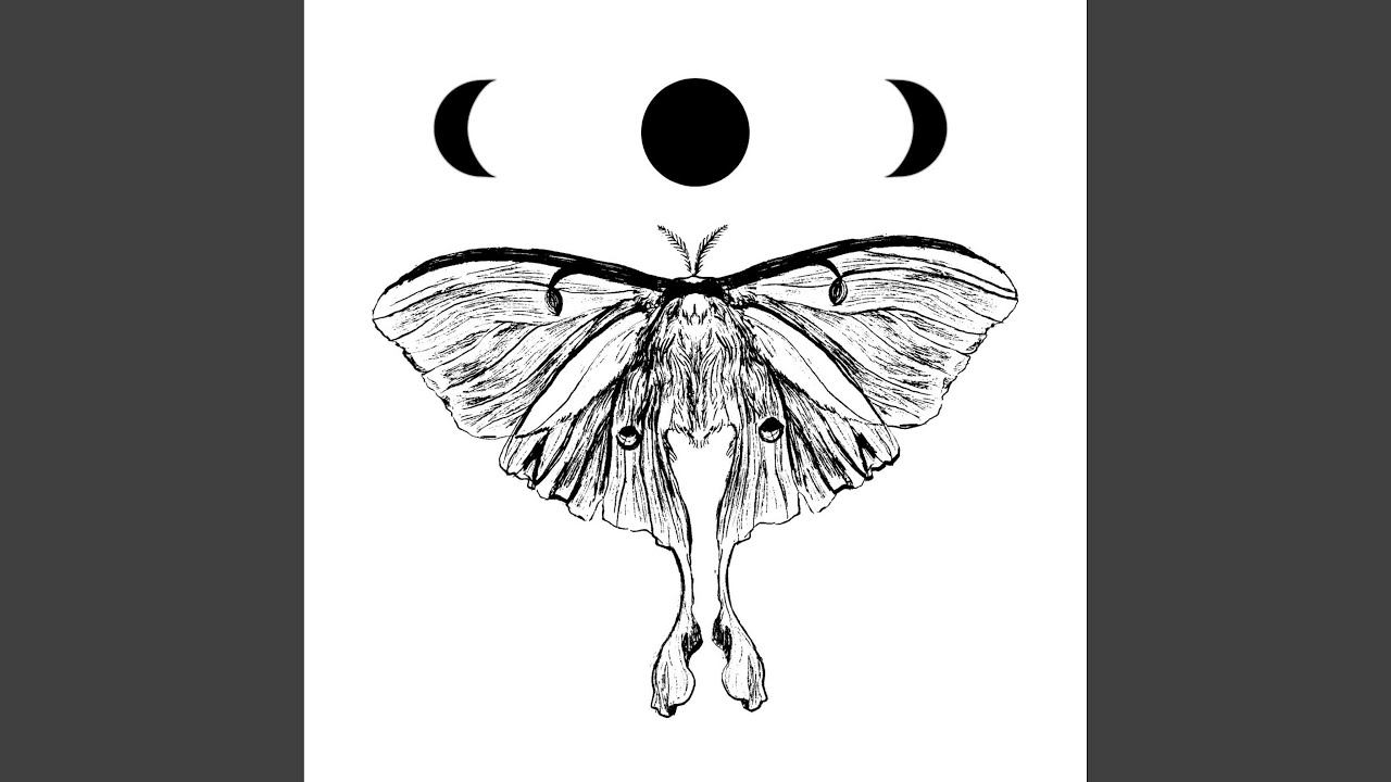 Dancing moths in the dark - YouTube