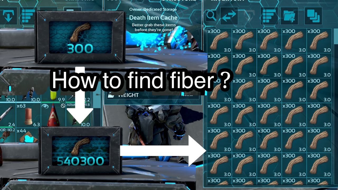 របៀបរក fiber លឿនហើយបានច្រើន ? How to find fiber ?# ...