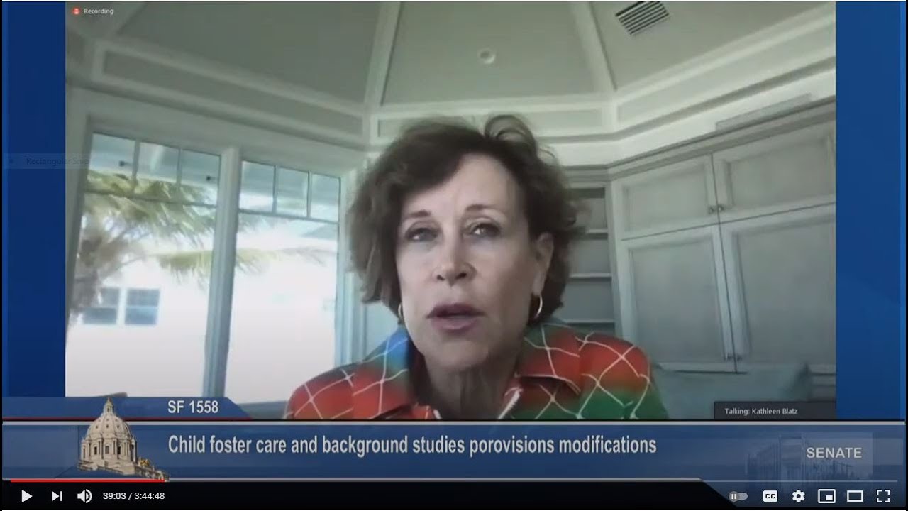 Part 1 - Committee on Judiciary and Public Safety - Child Foster Care ...