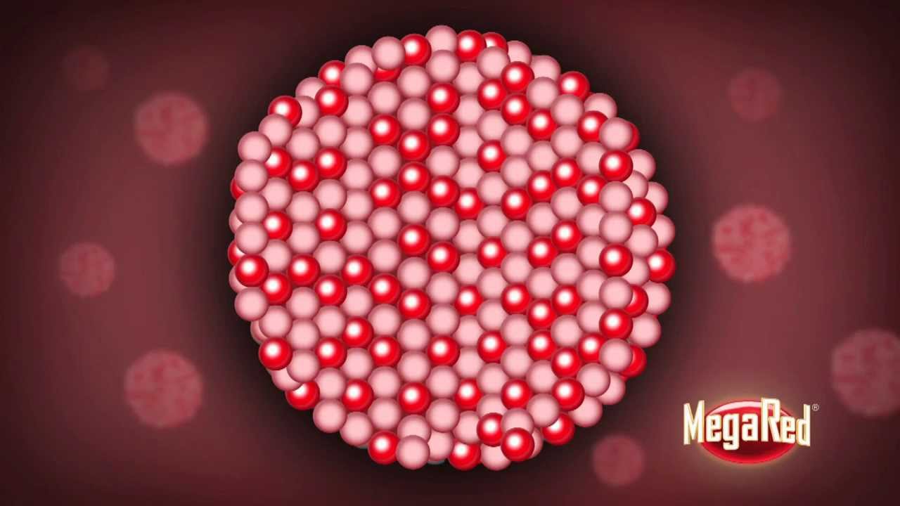 Why Schiff® MegaRed® Omega-3 Krill Oil is better than Fish Oil Part 1 ...