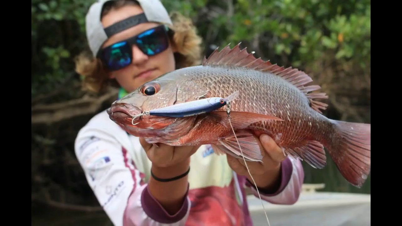 Jackson Lures Komet - YouTube