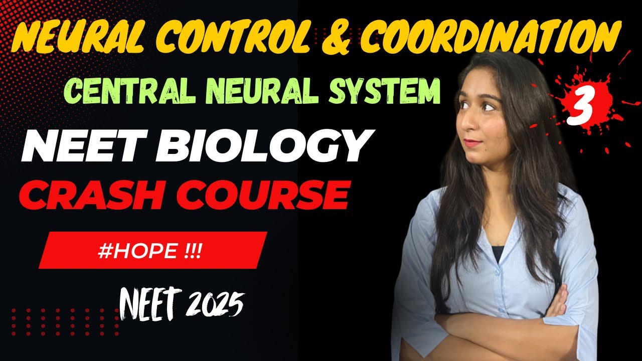 Neuron | Neural Control & Coordination | Class - 11th | NEET | With ...
