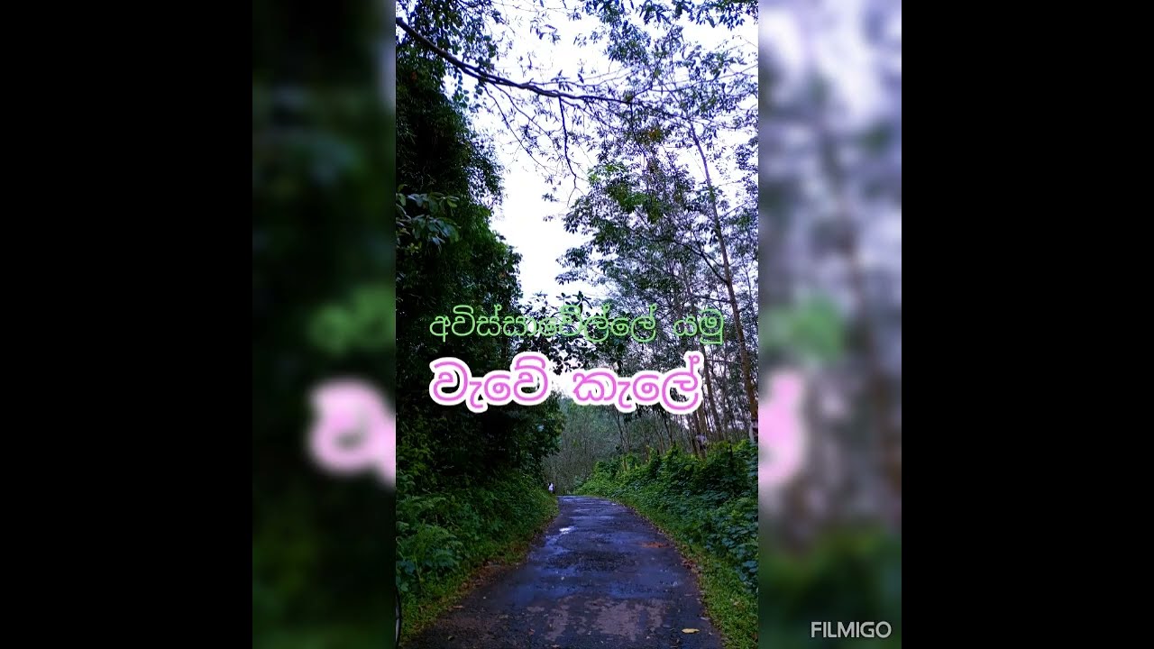 Avissawella beautiful places .wawae kalae/වැවේ කැලේ./hidden place in ...