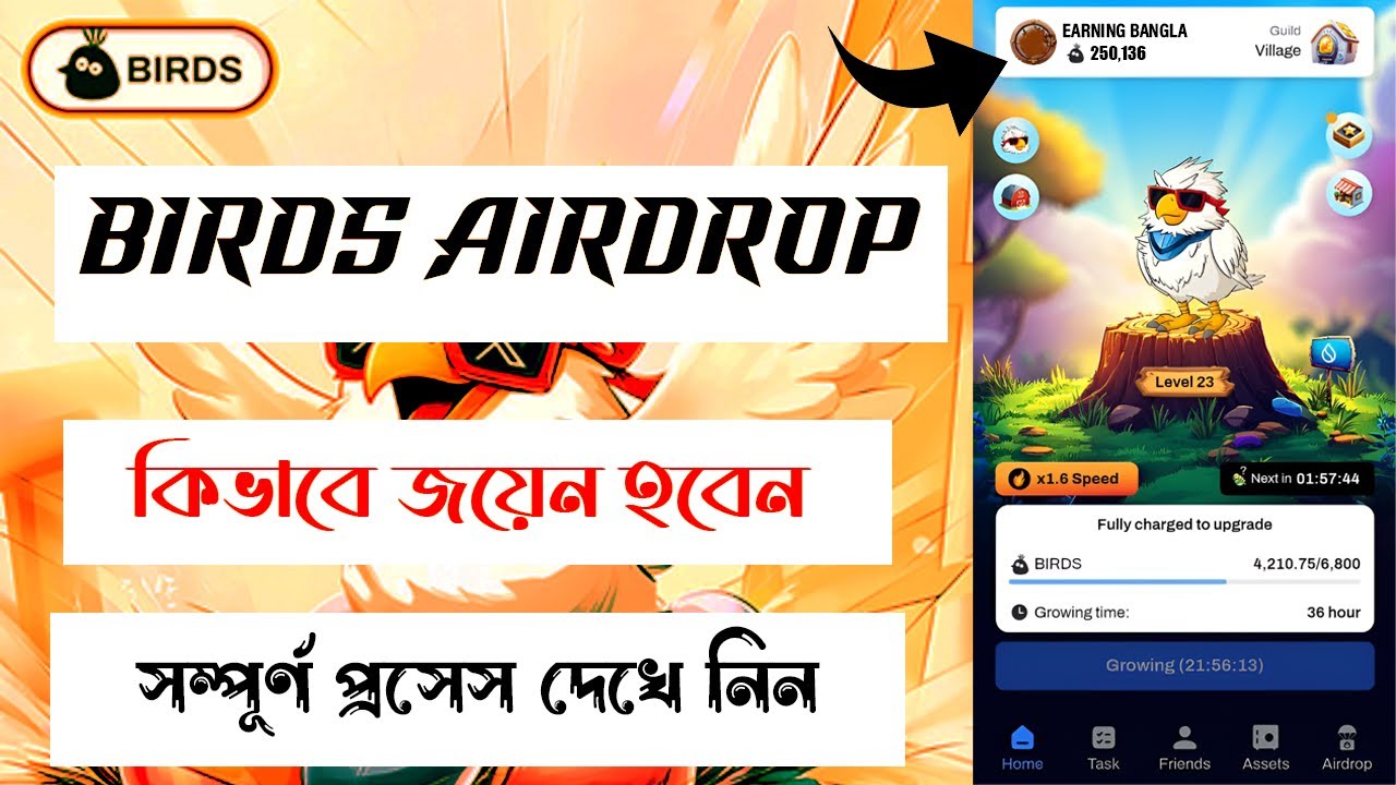 Birds Airdrop Full Joining Process | Sui verified project | $50-100 ...