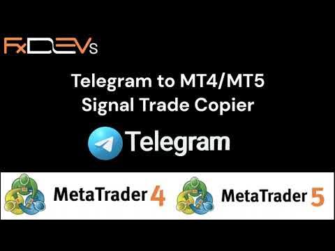 Telegram To MT4/MT5 Signal Copier | Telegram Metatrader - YouTube