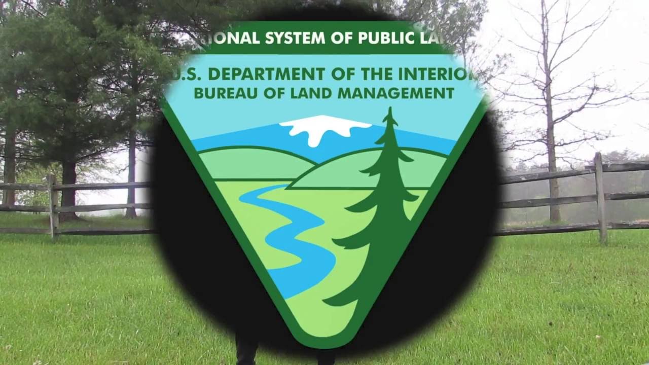 Team Rubicon Training 2016 - YouTube