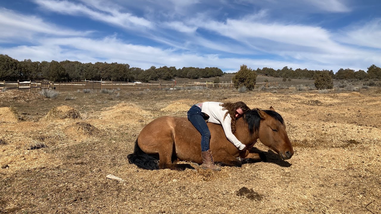 Sunday Ranch Cuddles - YouTube