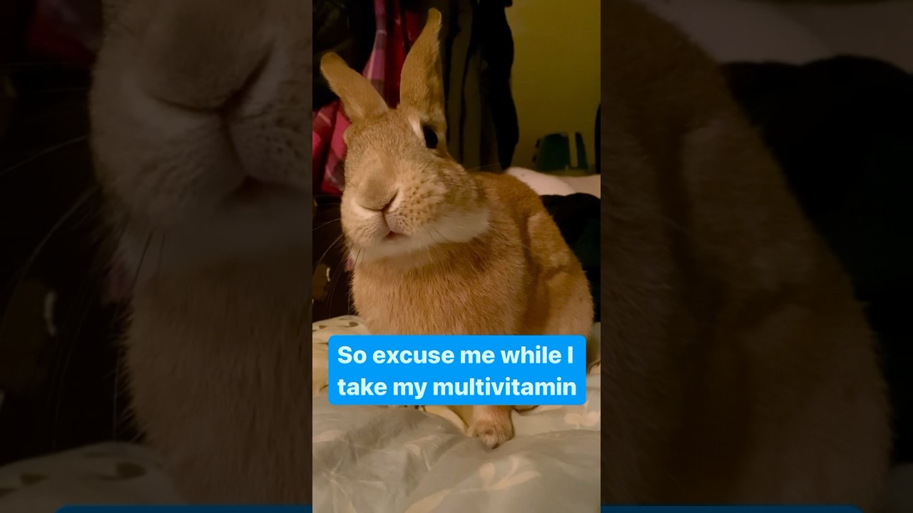 Speed is staying healthy by taking his vitamins daily via cecotrope # ...