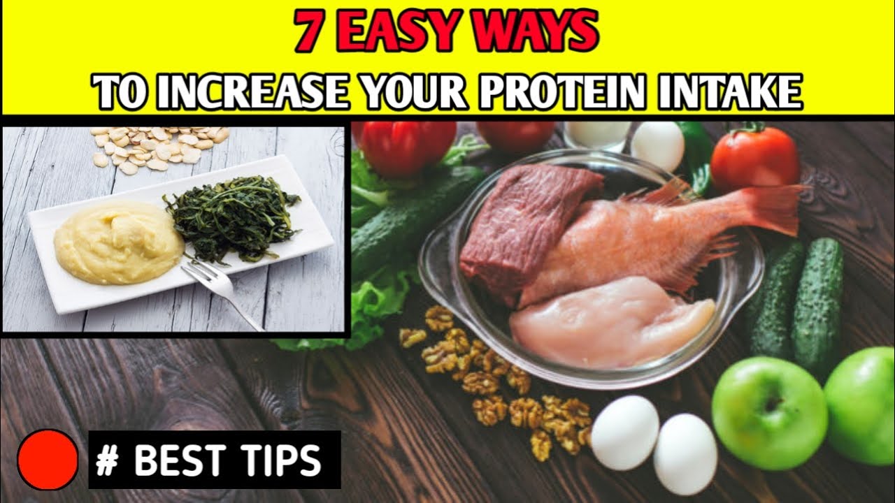 PROTEIN POWER : 7 TIPS TO INCREASE YOUR PROTEIN INTAKE | HEALTHY ...