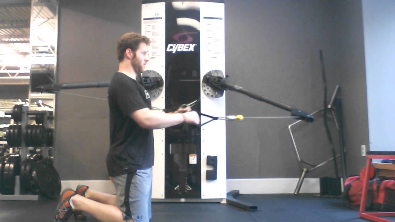 HG Tall Kneeling Push Pull - YouTube