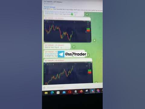 Vip Signals Group - Report of the Day | SS7TRADER концерт Моргена - YouTube