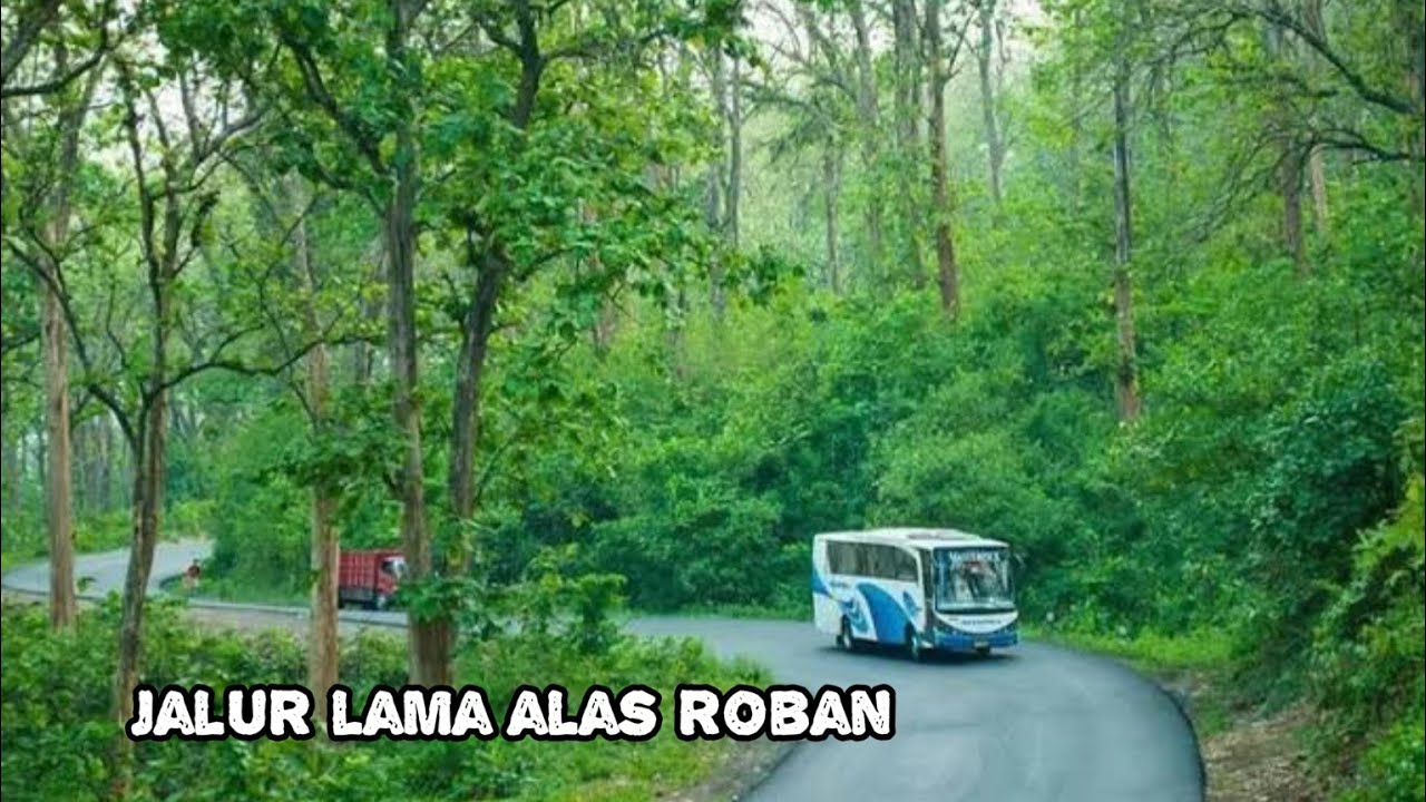 JALUR ANGKER ALAS ROBAN//TRUK BOX HEREX,MENOLAK PUNAH - YouTube