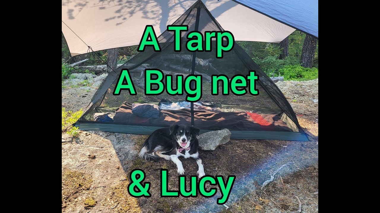 A Tarp, A Bug Net & Lucy - YouTube