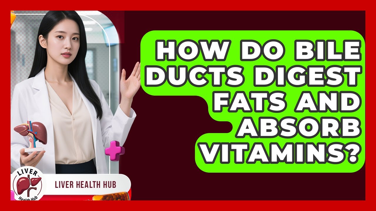 How Do Bile Ducts Digest Fats And Absorb Vitamins? - Liver Health Hub ...
