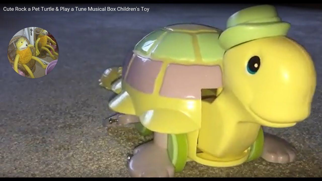 Cute Rock a Pet Turtle & Play a Tune Musical Box Children's Toy ...