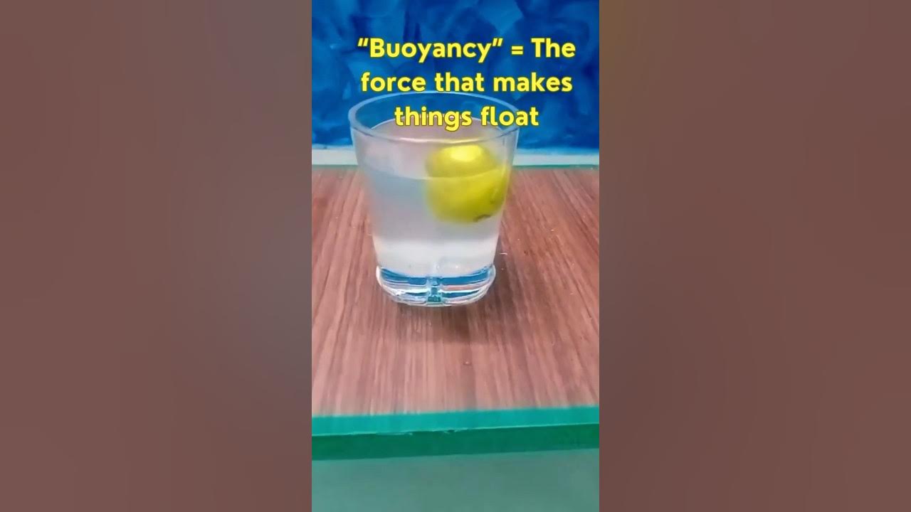 "Sink or Float Science Experiment" | "science behind Buoyancy | - YouTube