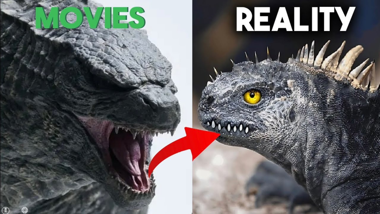 5 movies animals in real life - YouTube