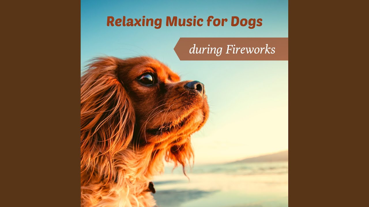 Relaxing My Dog - YouTube
