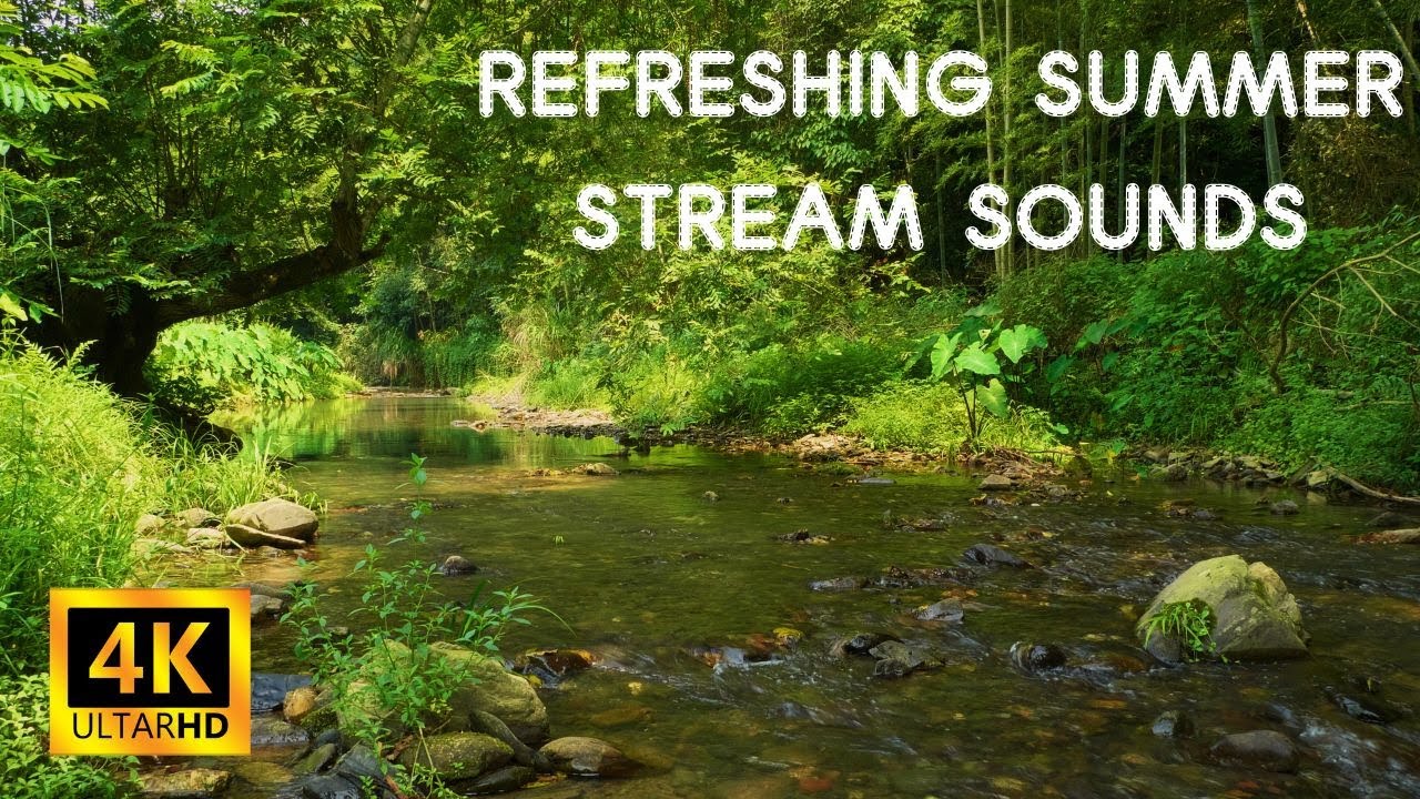4K Refreshing Summer Stream Sounds-Nature Scenery-Flowing Water ...