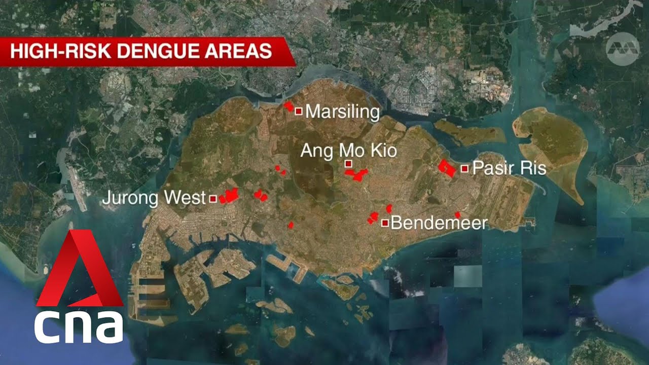 Weekly dengue cases have doubled to more than 500: NEA - YouTube
