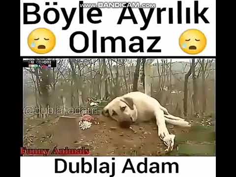 İnstagram en üzücü videolar #2 /DerT. Ortagı Tv/