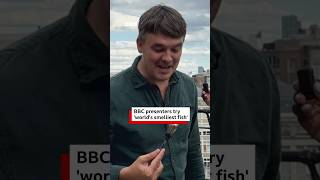 Watch BBC presenters try 'world's smelliest fish' - BBC World Service #shorts