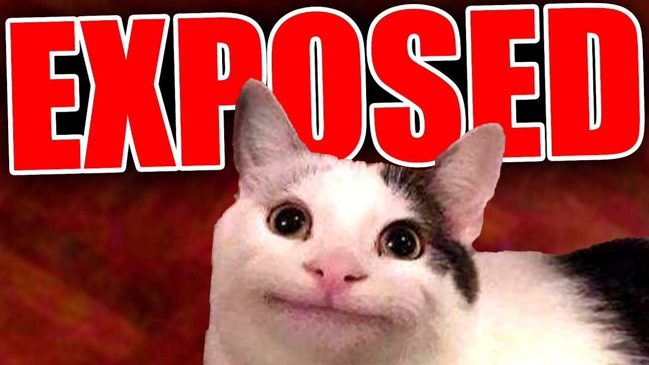 Beluga real face reveal - YouTube