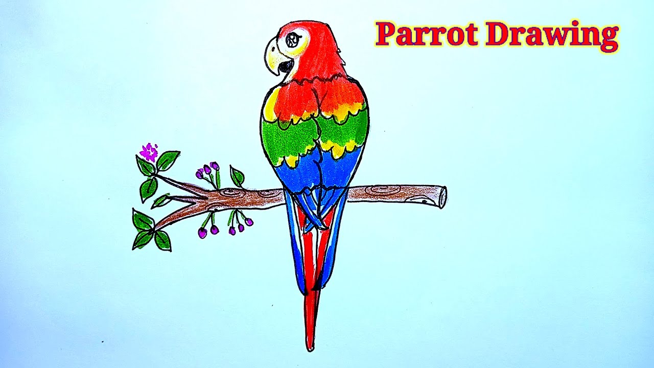 How to draw a Parrot/Parrot drawing easy/Kids art and craft1/# ...