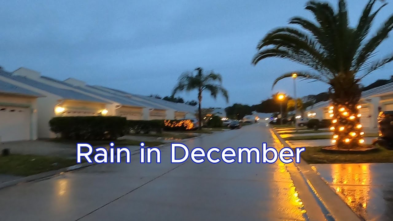 A walk in the December rain in Florida. Without thunder and lightning ...