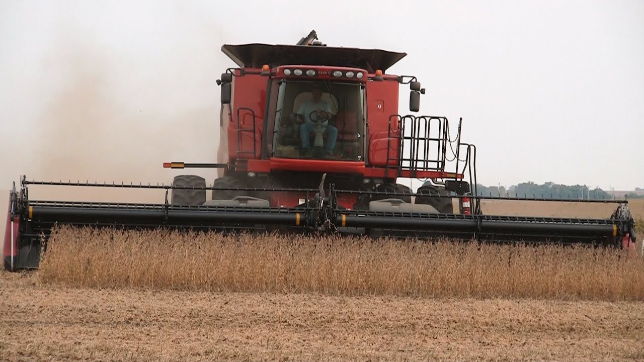 Steve Sauder Farms Soybean Harvest, Case IH 8120 Combine on 10-1-2014 ...