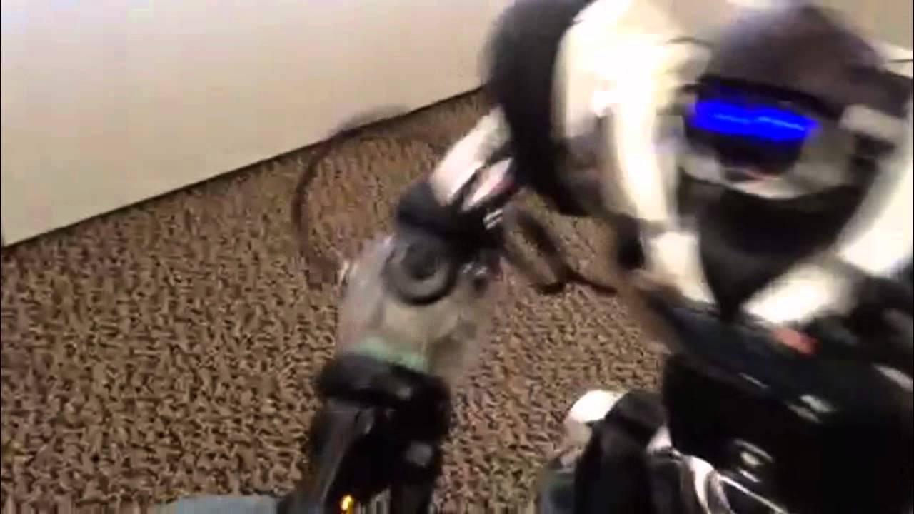 Clear/chrome Robosapien - YouTube