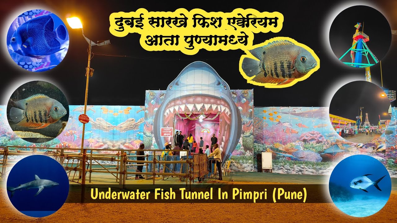 AQUA Tunnel Show HA Ground Pimpri | Underwater Aquarium in Pimpri ...