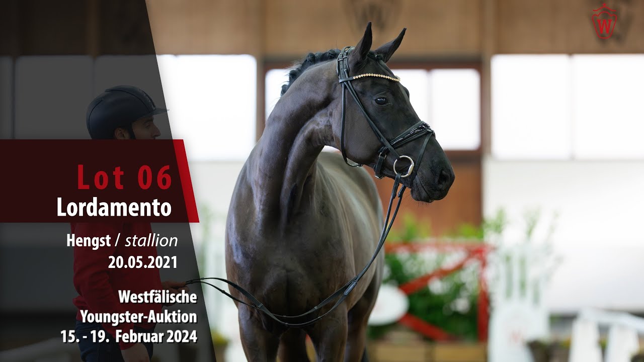 Youngster-Auktion Lot 06 Lordamento Hengst v. Lord Europe - AxisT - YouTube