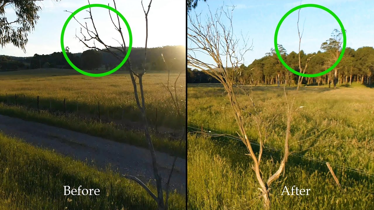 Drone vs Tree! - YouTube